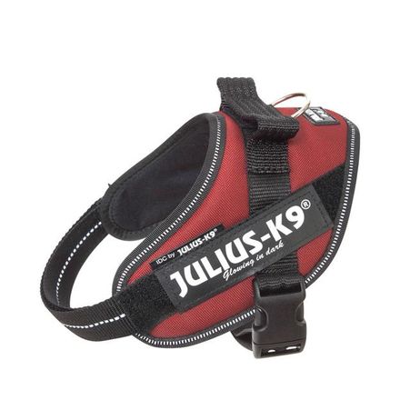 Køb Julius-K9 IDC Sele Cerise til din hund | Tinybuddy