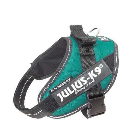 Køb Julius-K9 IDC Sele Cerise til din hund | Tinybuddy