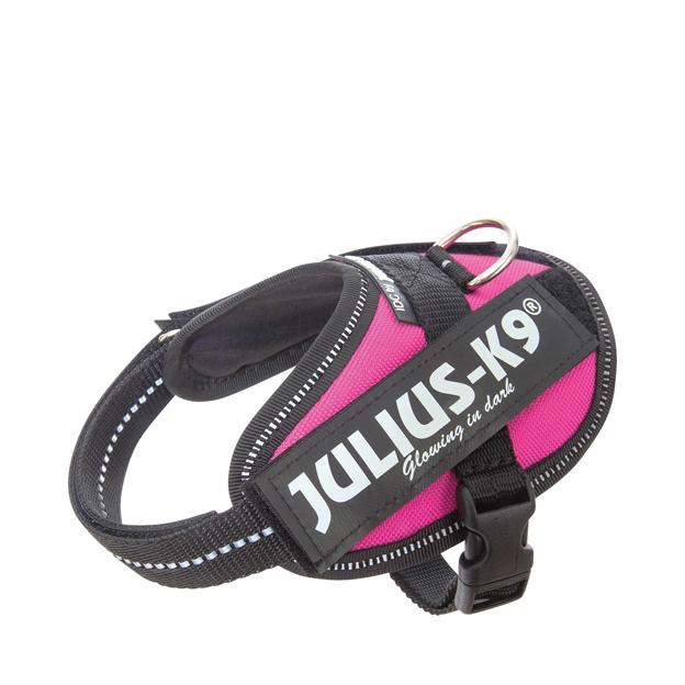 Køb Julius-K9 IDC Sele Cerise til din hund | Tinybuddy